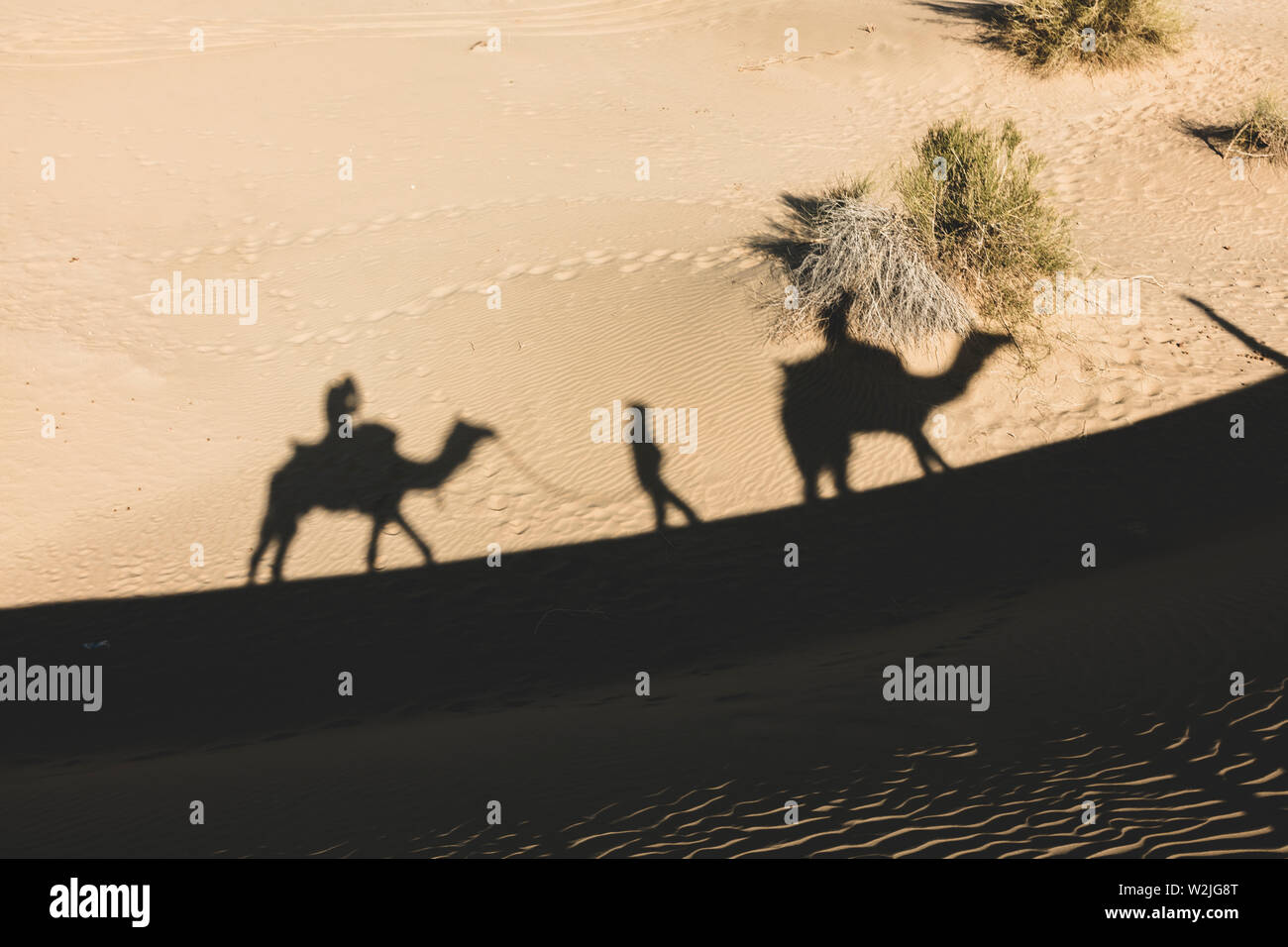 Shadow in the desert hi-res stock photography and images - Alamy