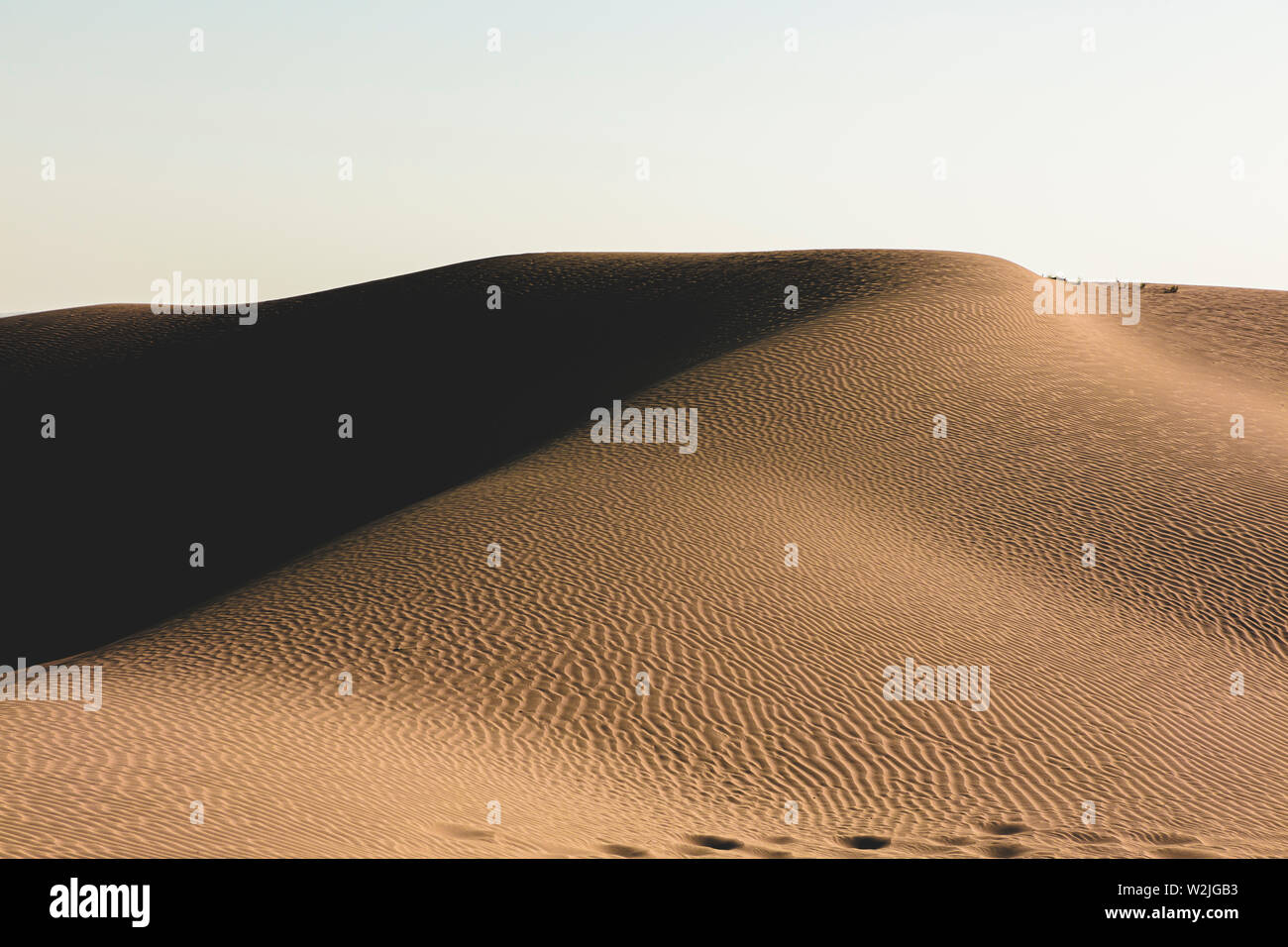 thar desert landscape, view of thar zone, in the rajasthan Stock Photo ...