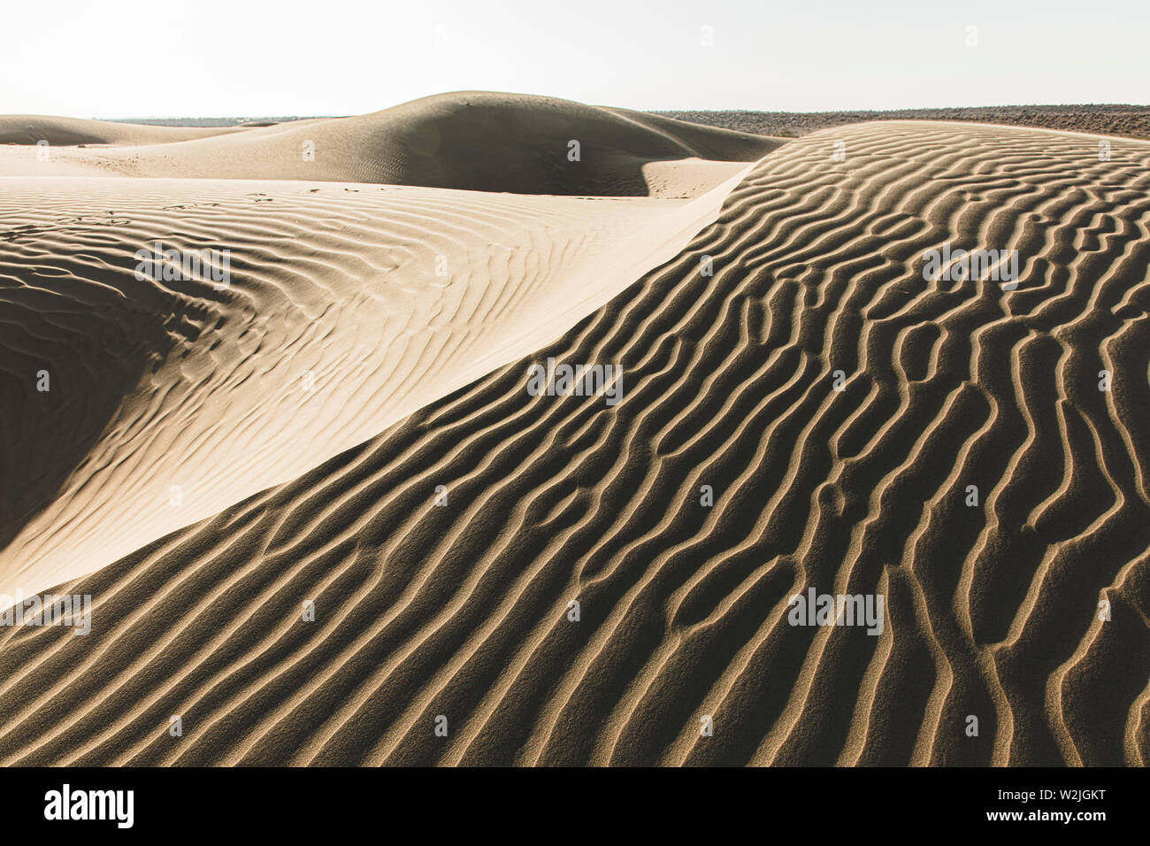 thar desert landscape, view of thar zone, in the rajasthan Stock Photo ...