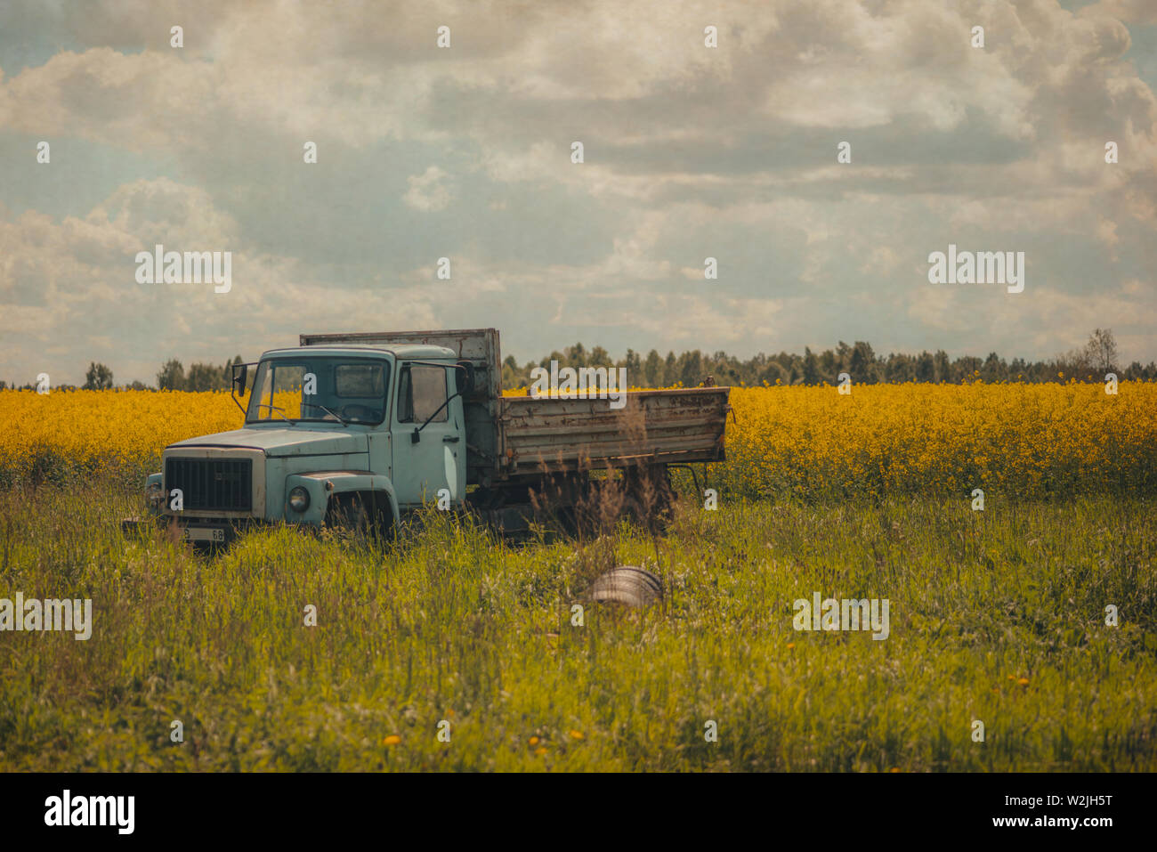 Old truck abandoned in raps field Stock Photo - Alamy