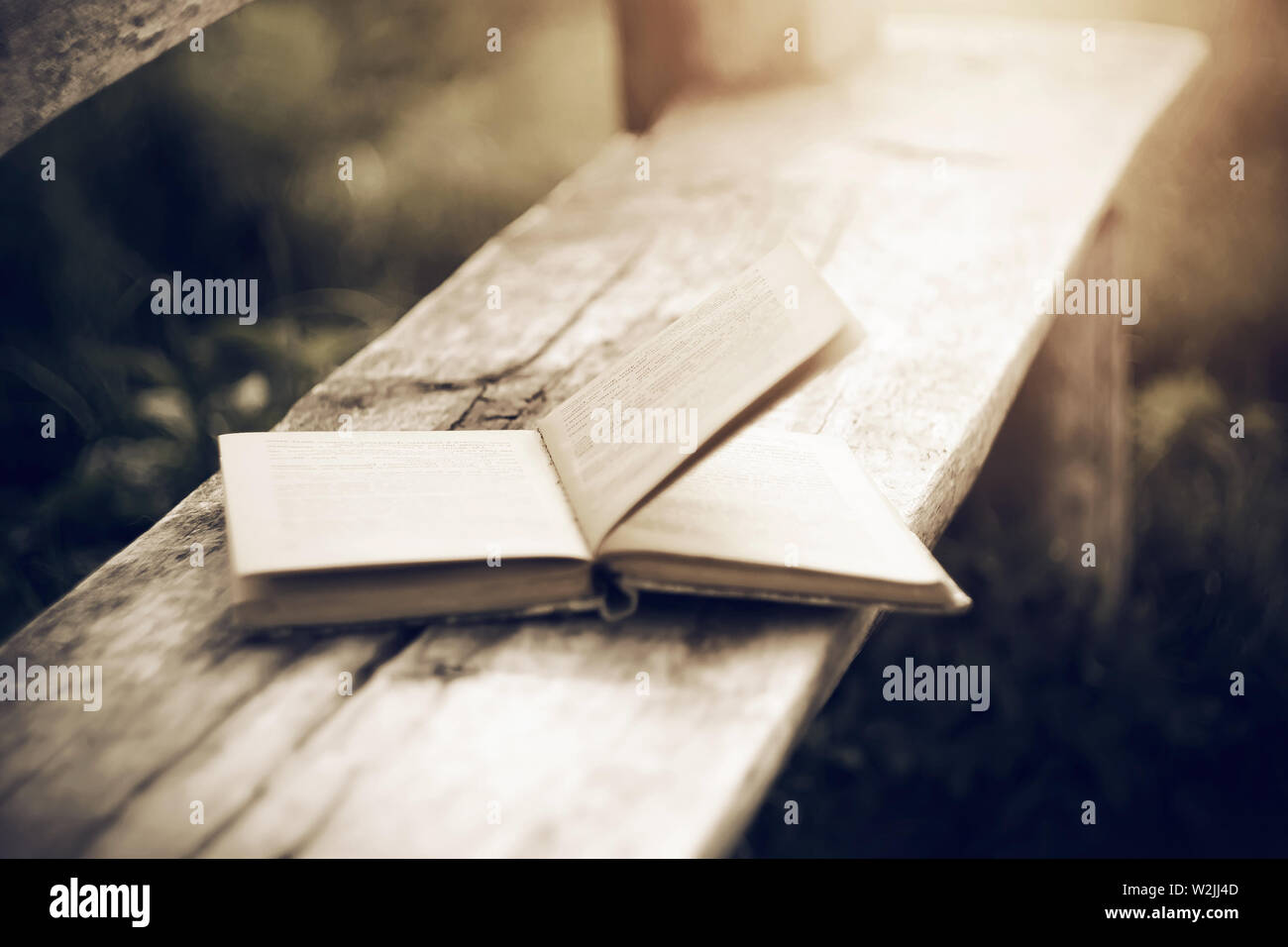 Cracked book hi-res stock photography and images - Alamy