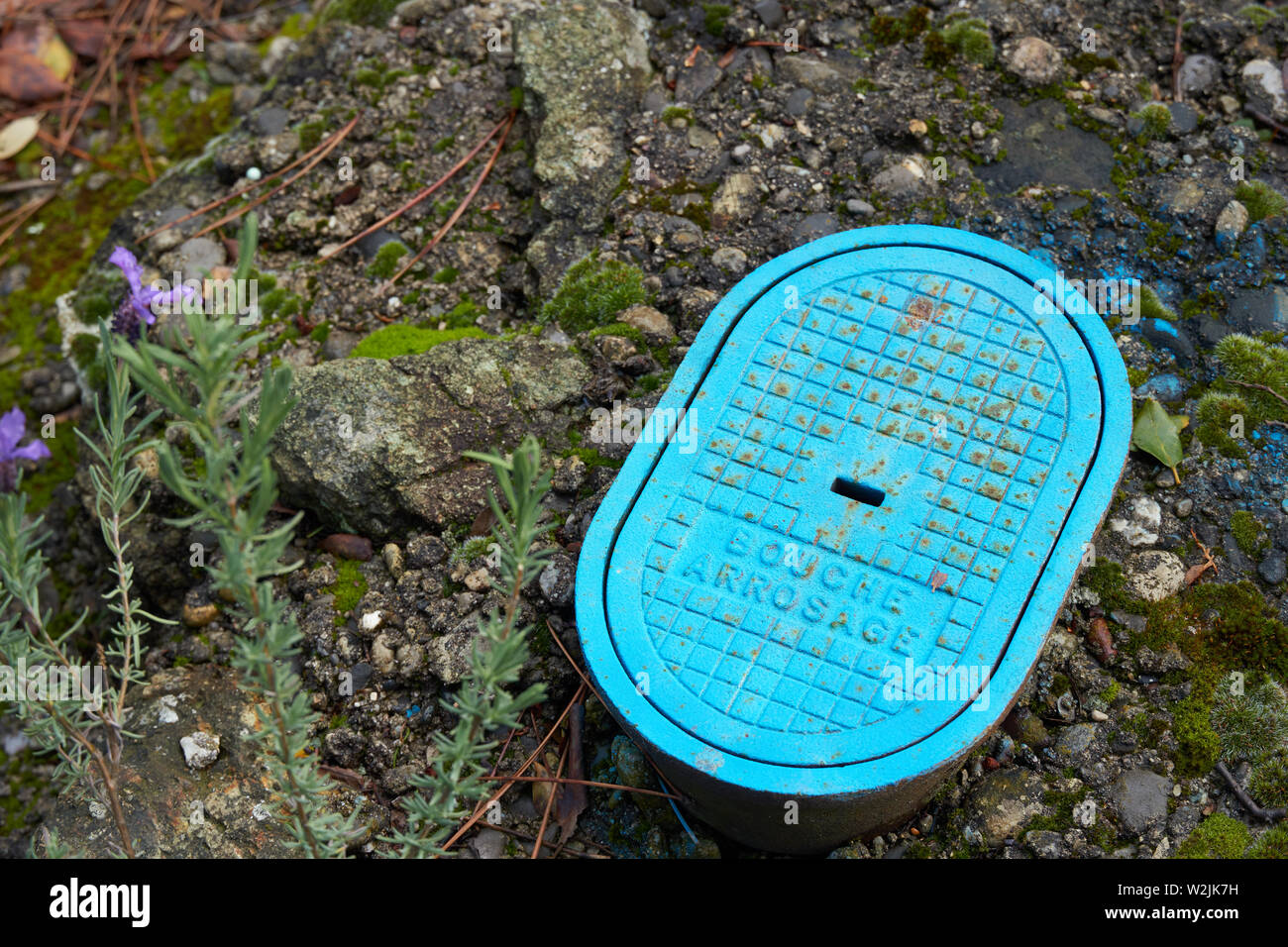 Turquoise painted forest fire hydrant. Domaine de Maure-Vieil ...