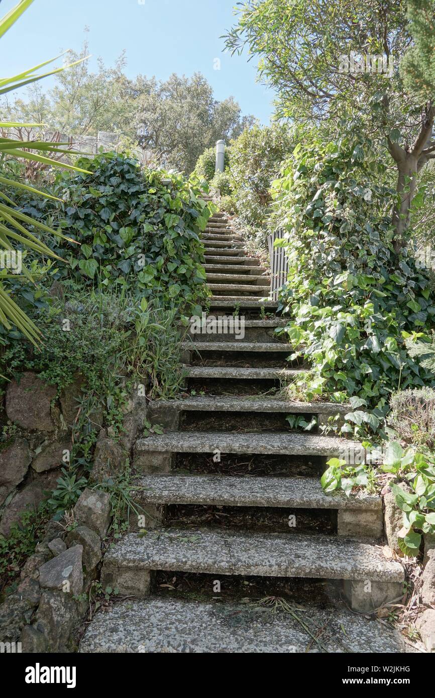 Green plant garden stairs hi-res stock photography and images - Alamy