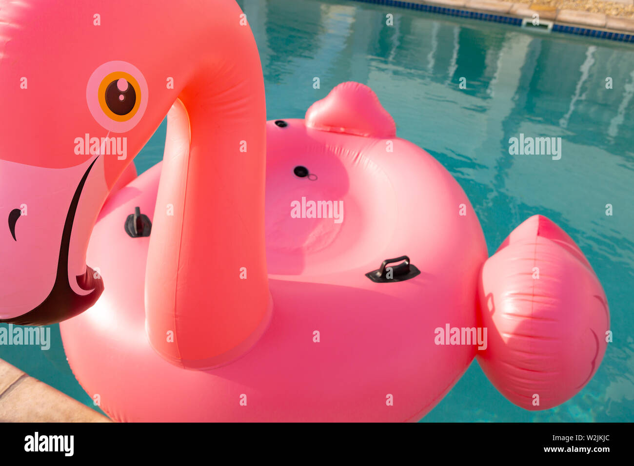 Pink flamingo bird shape inflatable tube floating in a swimming pool ...