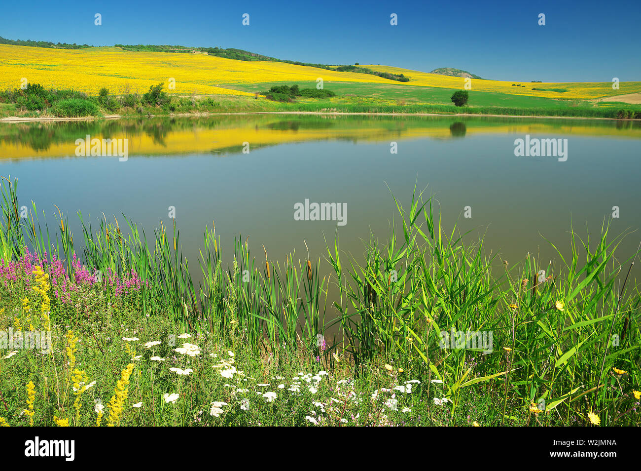 Kyustendil region hi-res stock photography and images - Alamy