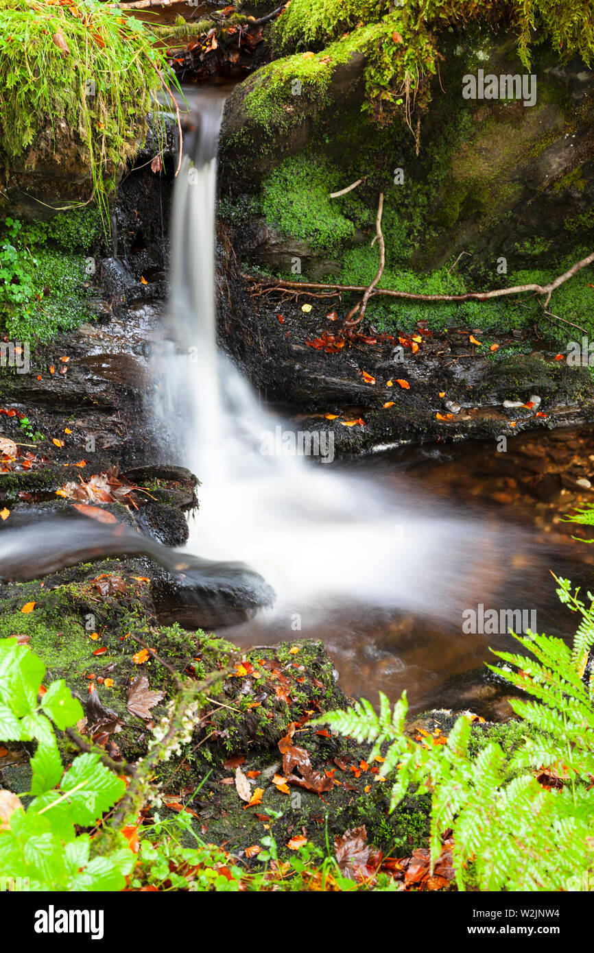 Peaceful small waterfall hi-res stock photography and images - Alamy