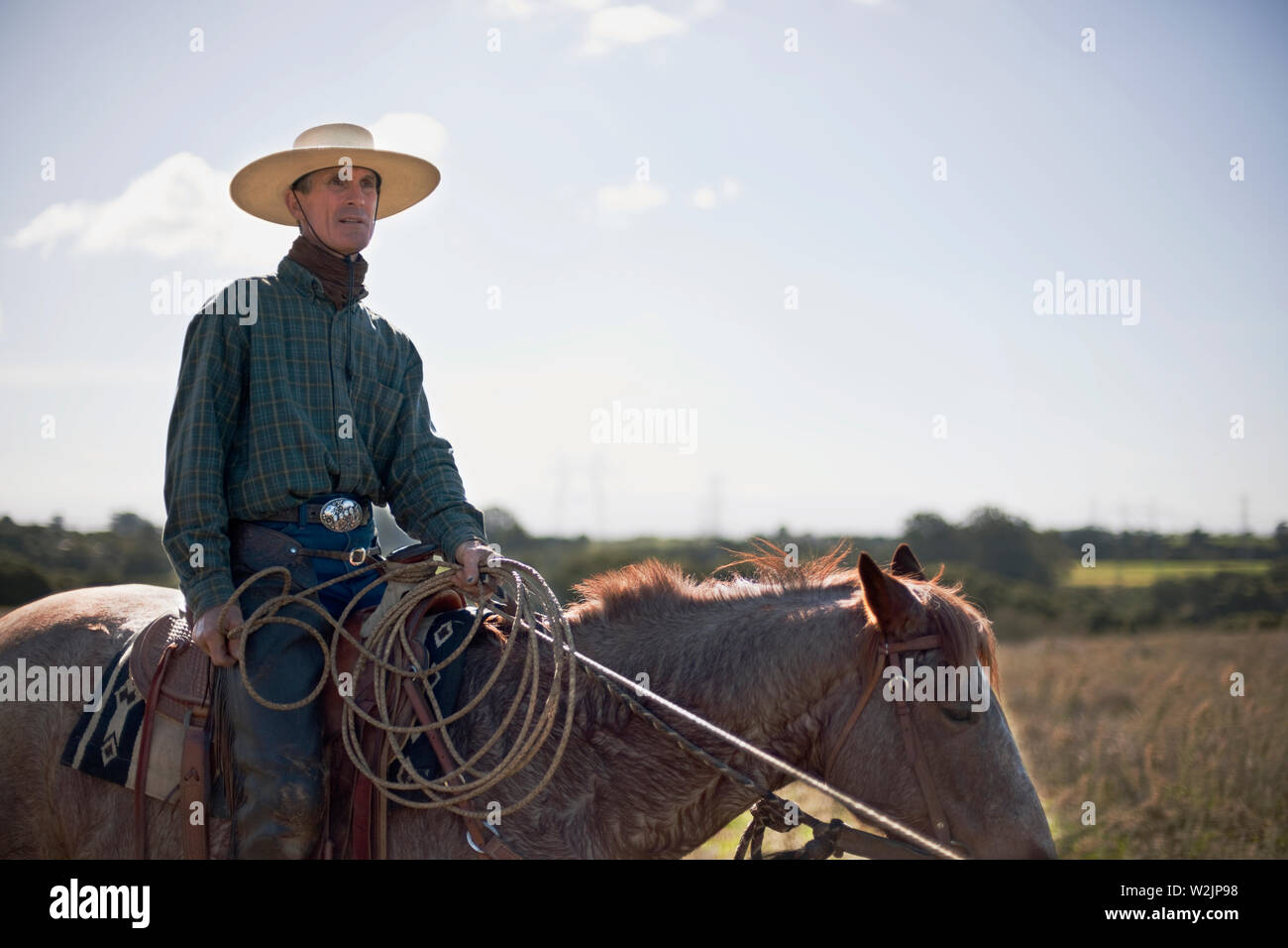 Image of a cowboy hi-res stock photography and images - Alamy