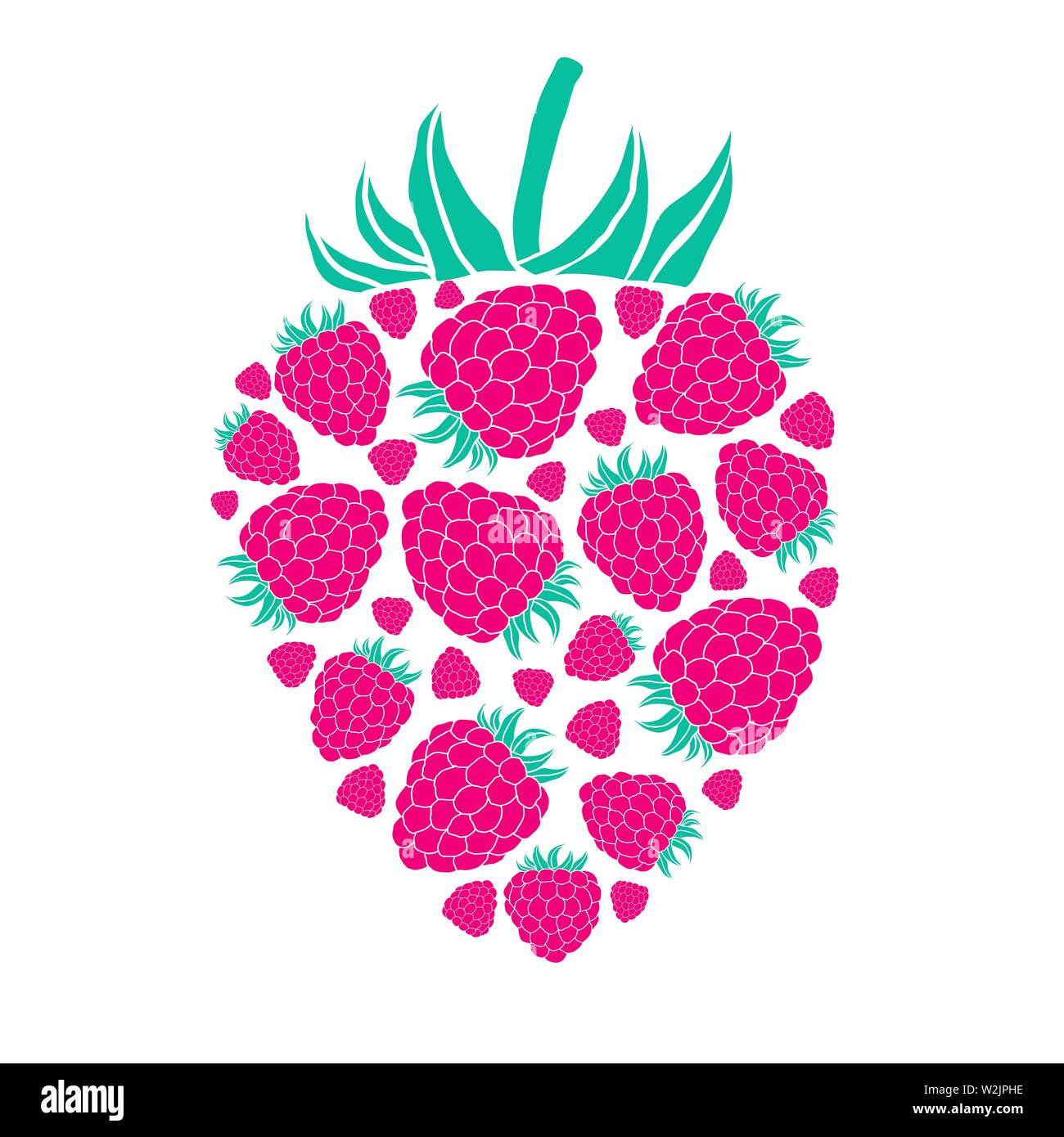 Hand drawn raspberry isolated on white background Stock Vector Image ...