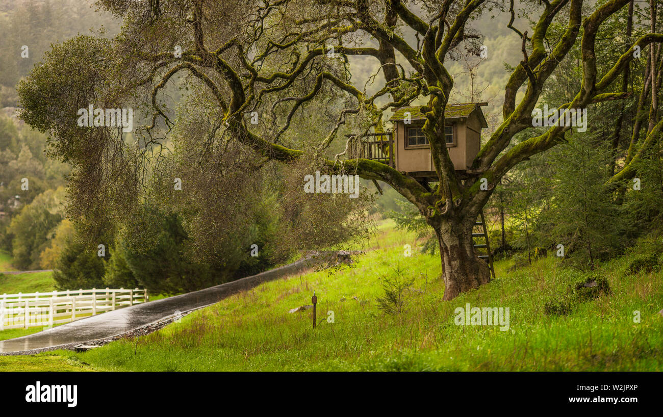 Urban treehouse hi-res stock photography and images - Alamy