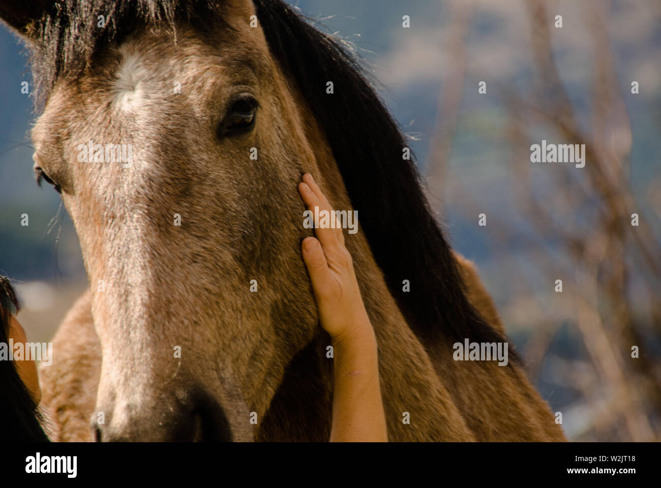 Stroking the cheek hi-res stock photography and images - Alamy