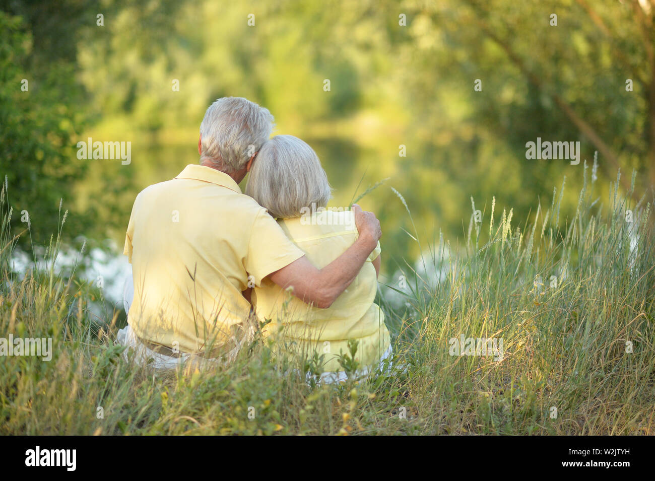 Beautiful senior couple hugging in the park, back view Stock Photo - Alamy