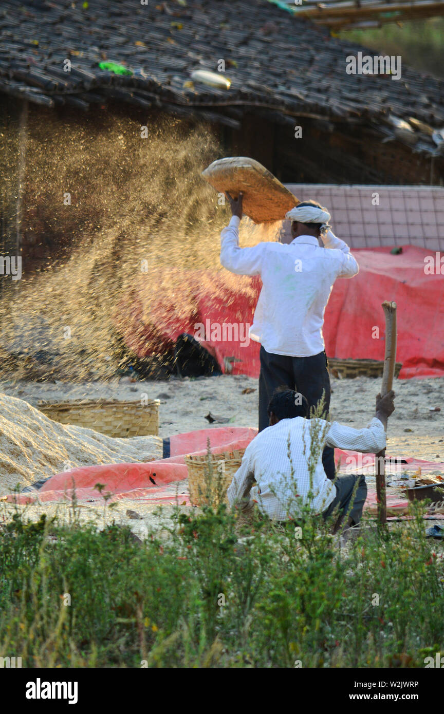 Separating Grain High Resolution Stock Photography and Images - Alamy