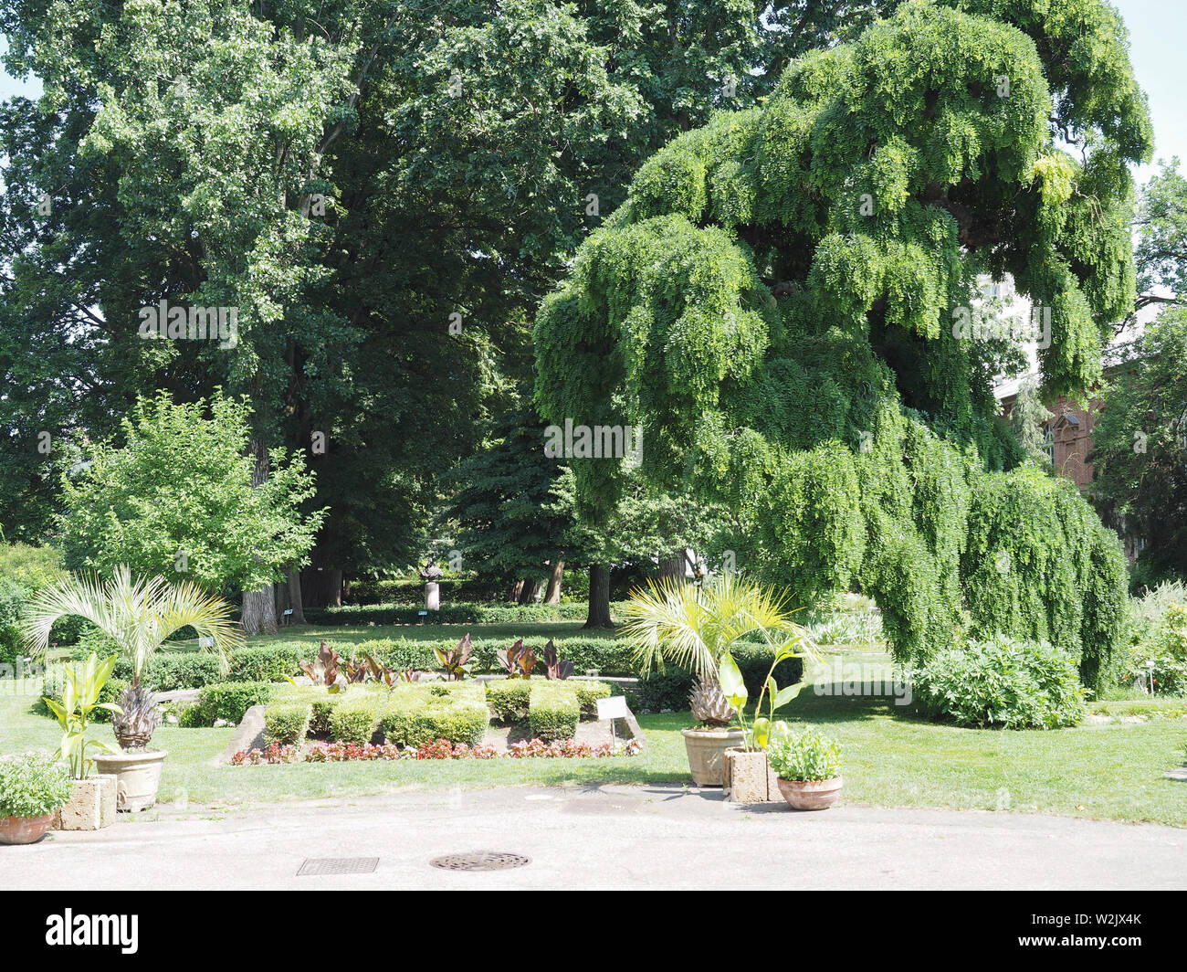 The Royal Botanical Gardens in Turin, Italy Stock Photo - Alamy