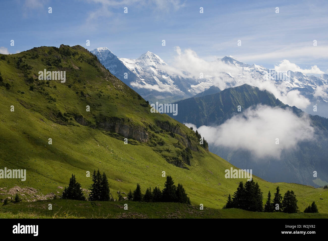 High pasture at Inner Iselten near Schynige Platte, with the great ...