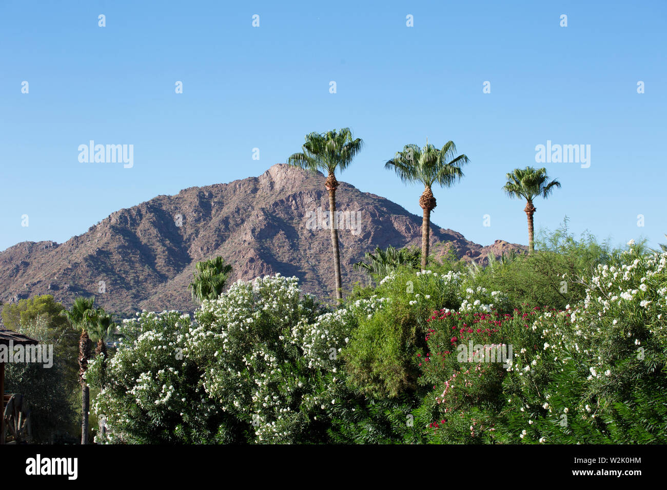 Camelback mountain in phoenix arizona Stock Photo - Alamy