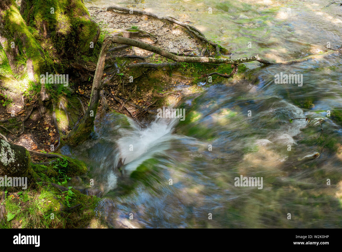 Tree roots hole hi-res stock photography and images - Alamy