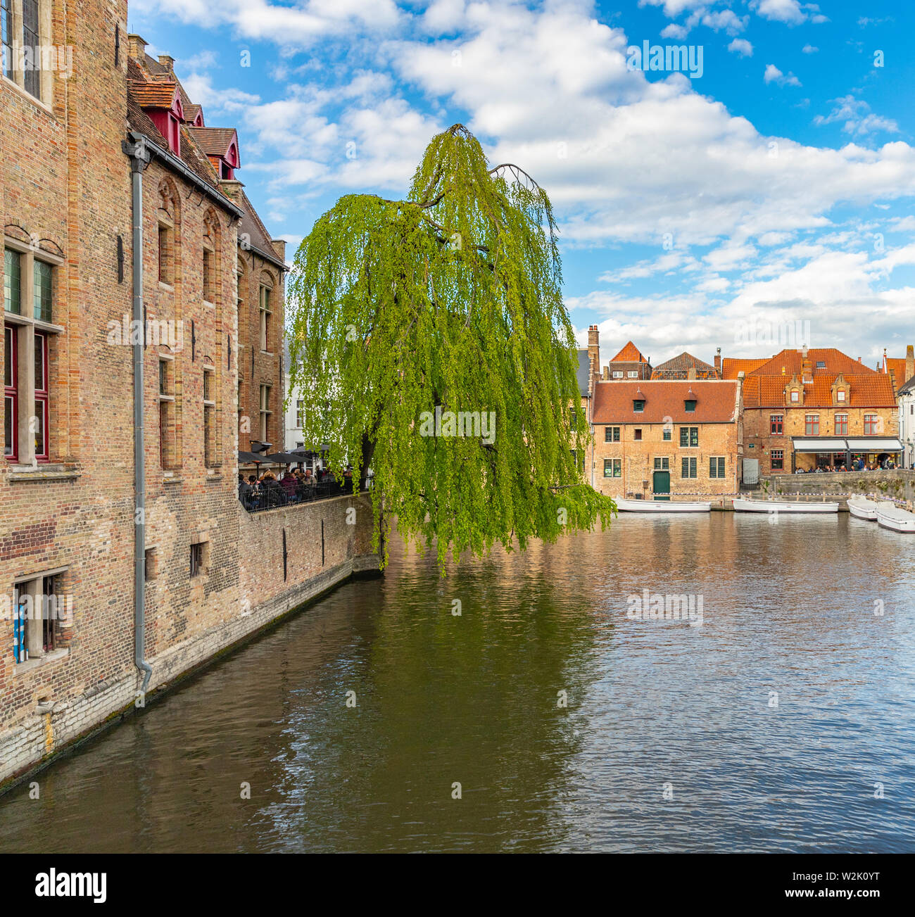 View of Dijver canal with houses and trees in Bruges, Belgium Stock ...