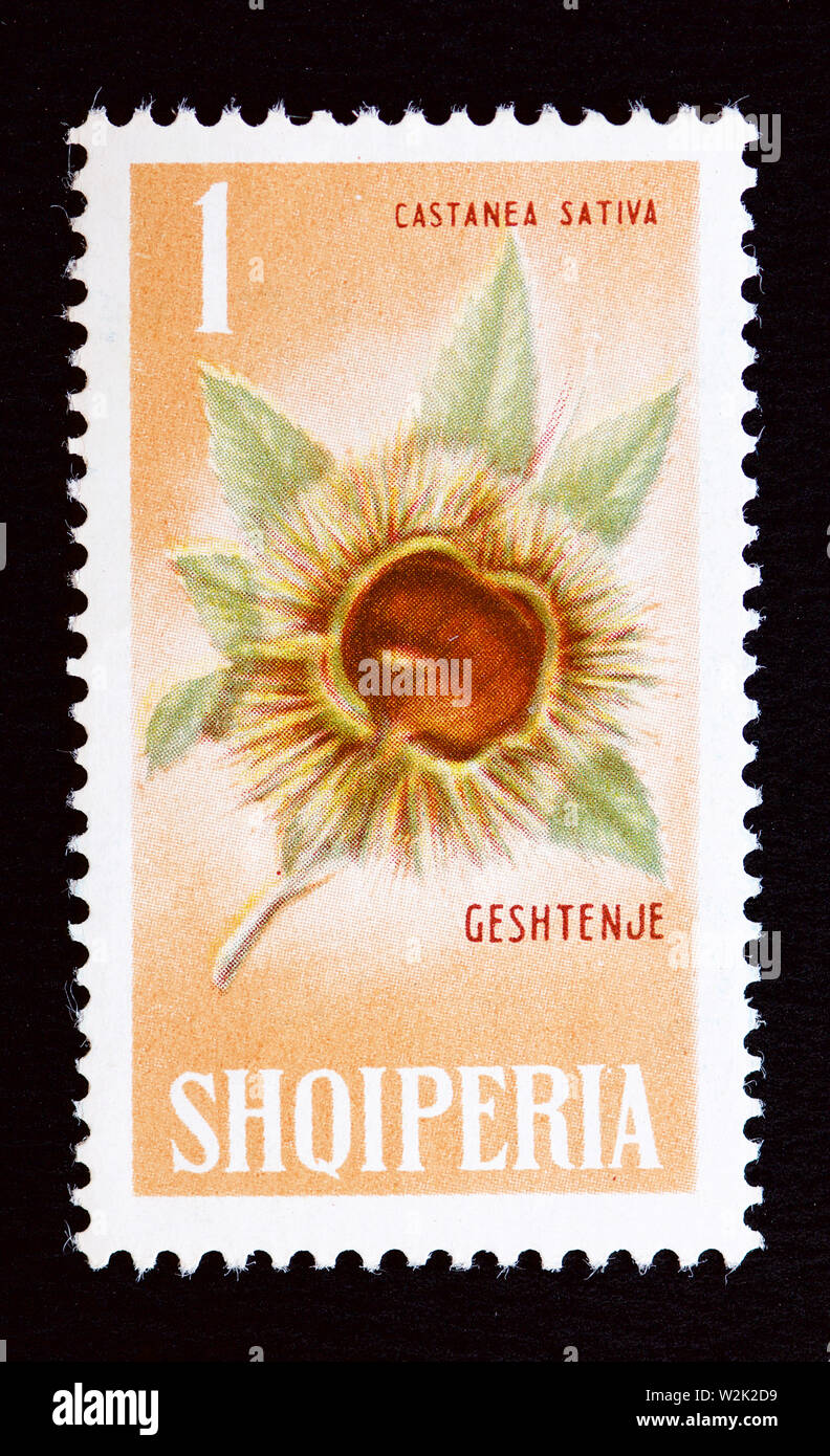 Postage Stamp - Albania - 1965 Stock Photo - Alamy