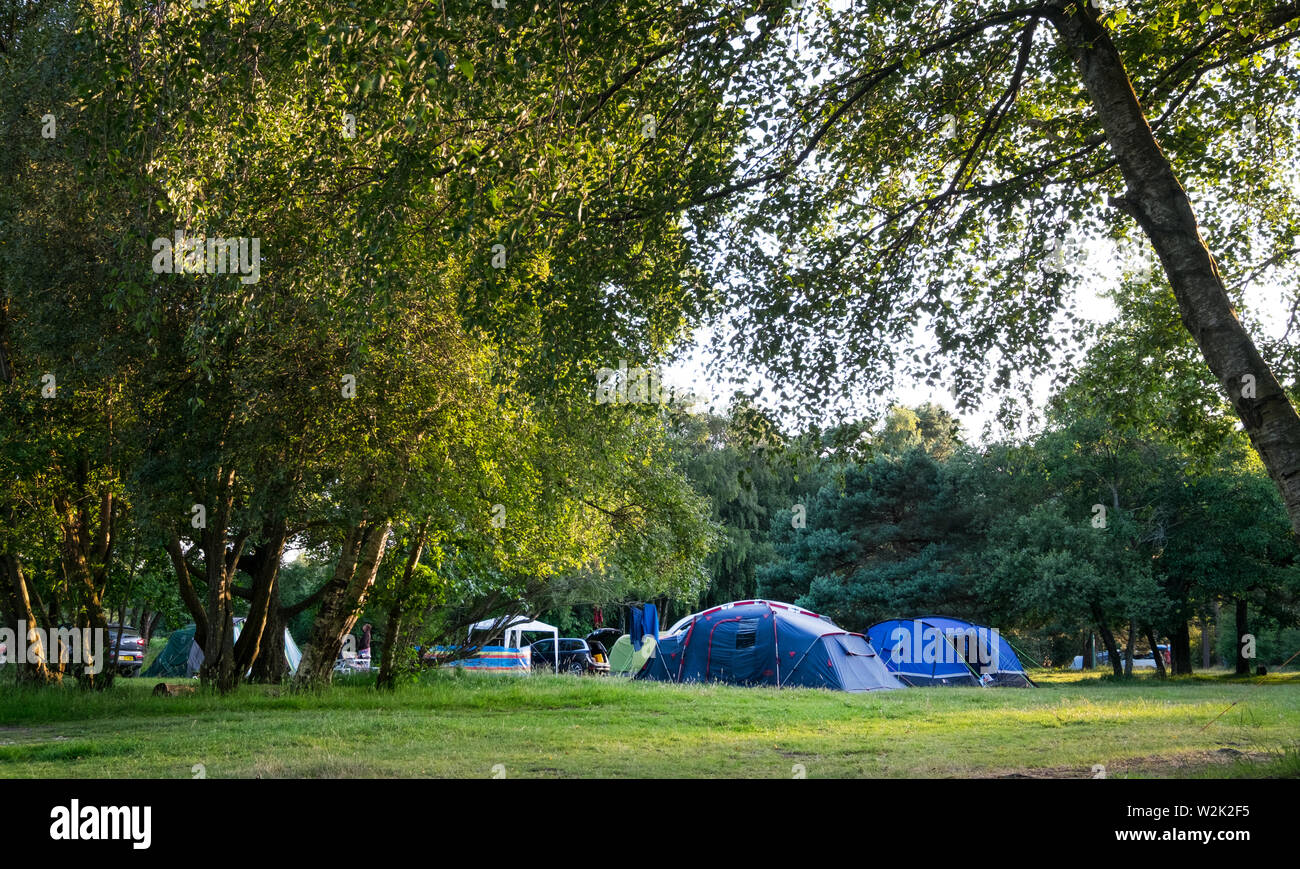 Burnbake Campsite in Dorset, UK Stock Photo - Alamy