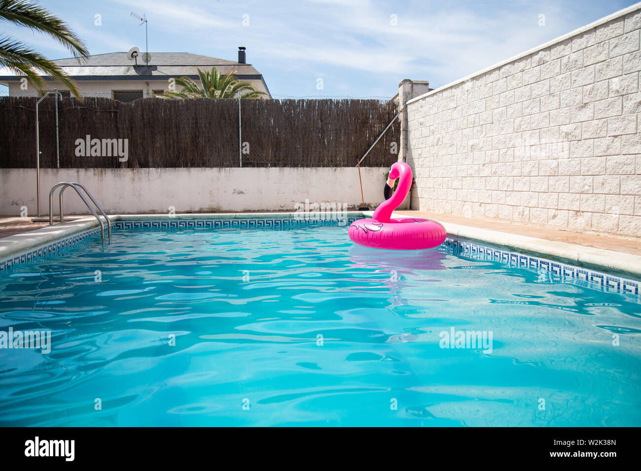 Young man floating in a inflatable flamingo in a blue pool a sunny day ...