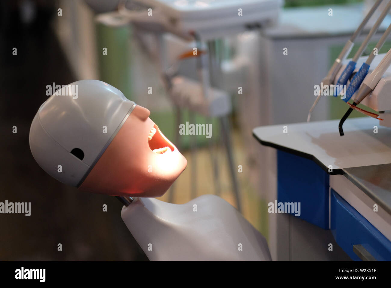 Mannequin for professional training of students of dental faculties of ...