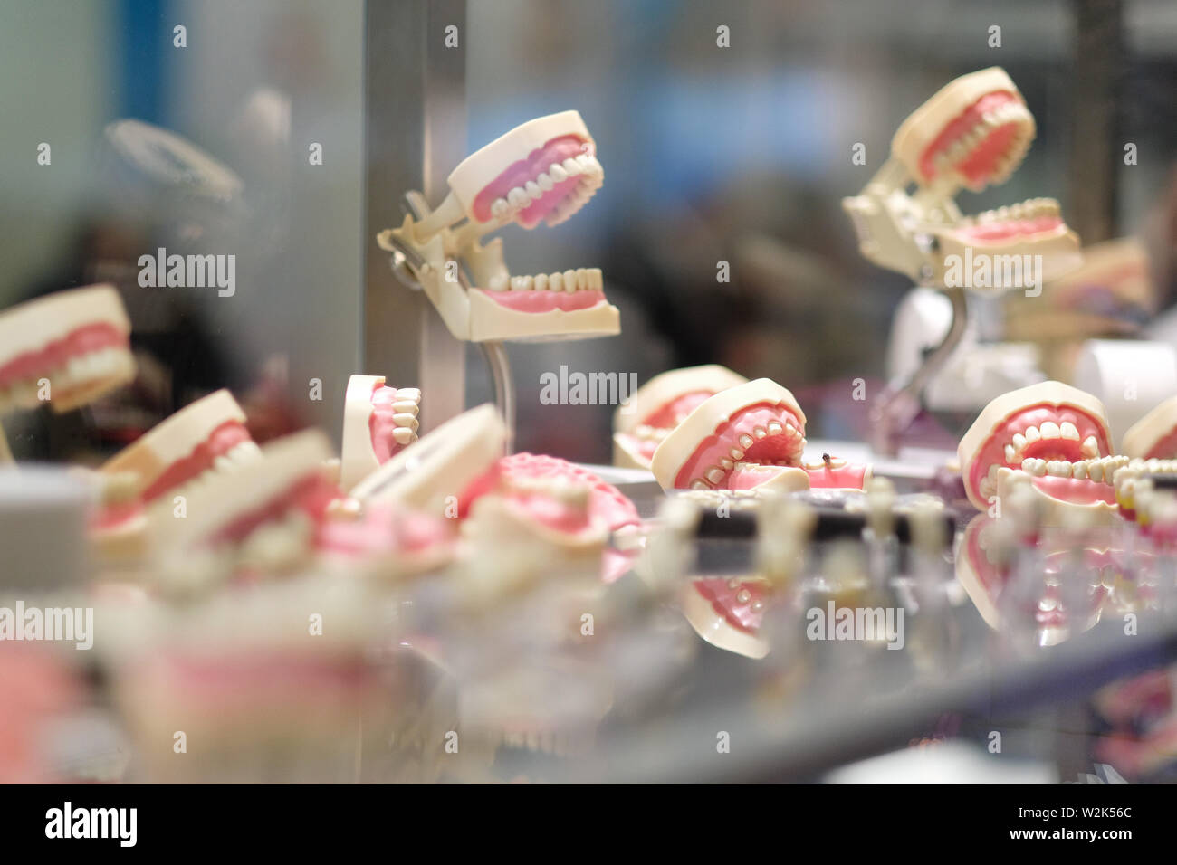 Samples of dentures at the dental exhibition Stock Photo - Alamy