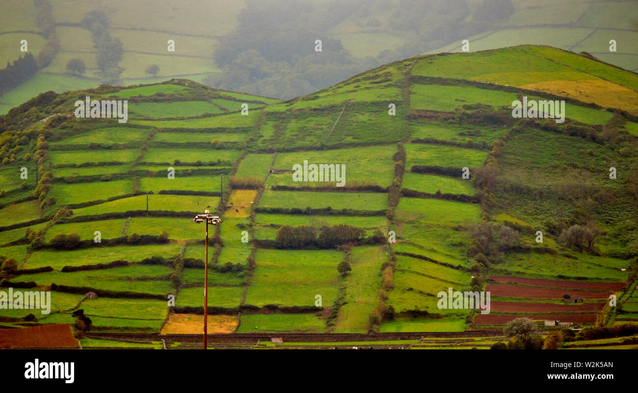 Azores green lush hi-res stock photography and images - Alamy