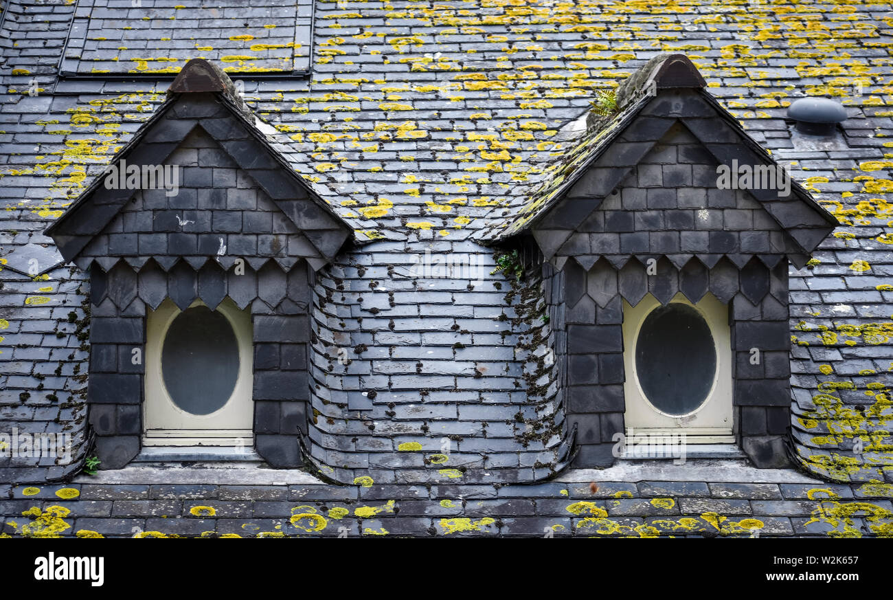 Slate roof and dormer windows in Mont Saint Michel, France Stock Photo ...