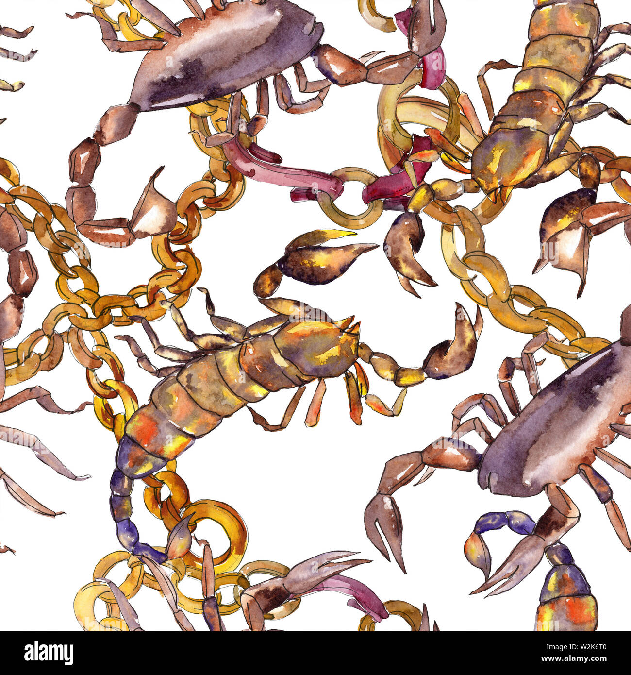 Exotic scorpion wild insect isolated. Watercolor background ...