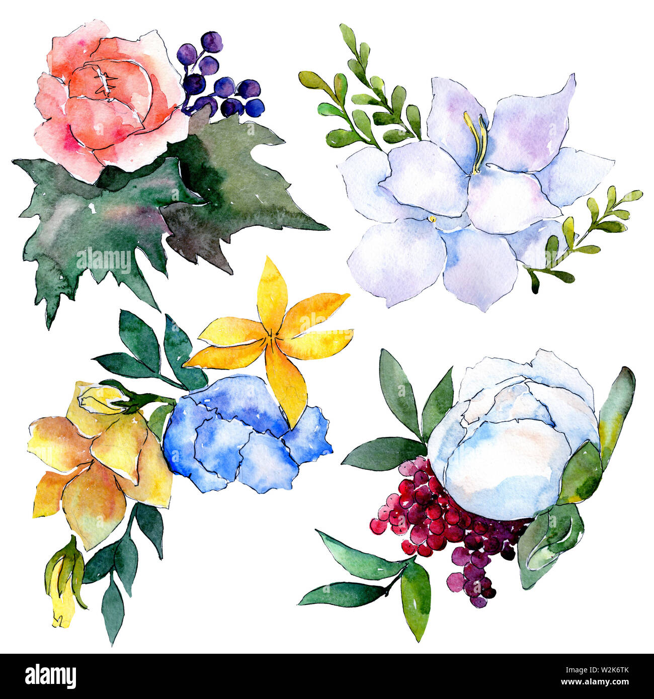 Bouquet floral botanical flowers. Watercolor background illustration ...