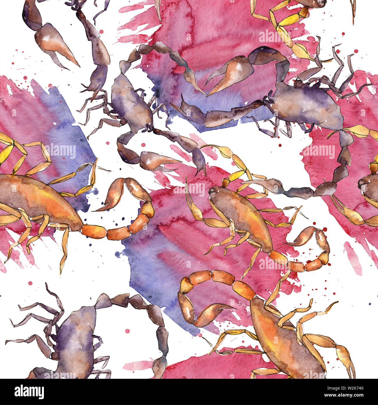 Exotic scorpion wild insect isolated. Watercolor background ...