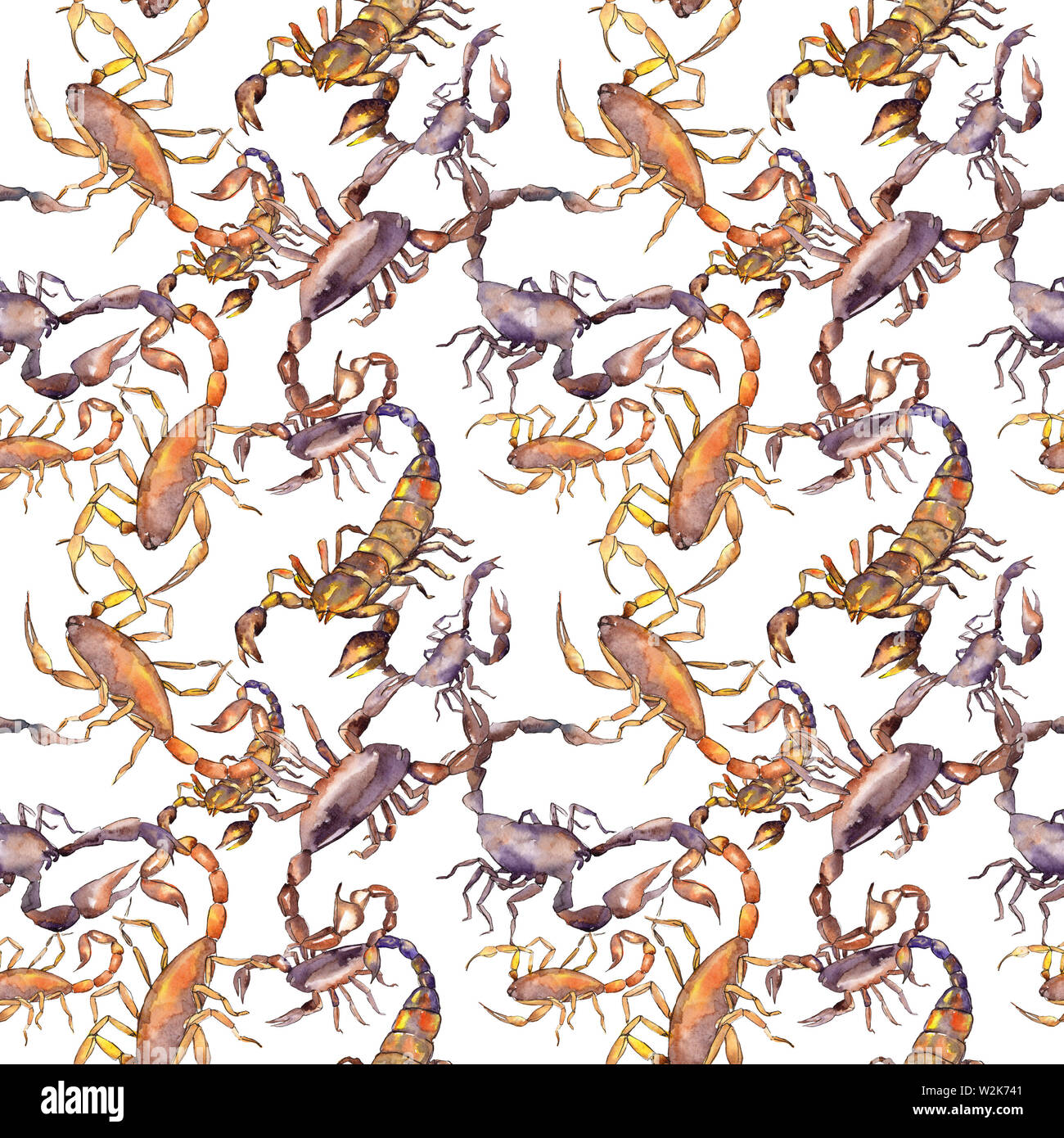 Exotic scorpion wild insect isolated. Watercolor background ...