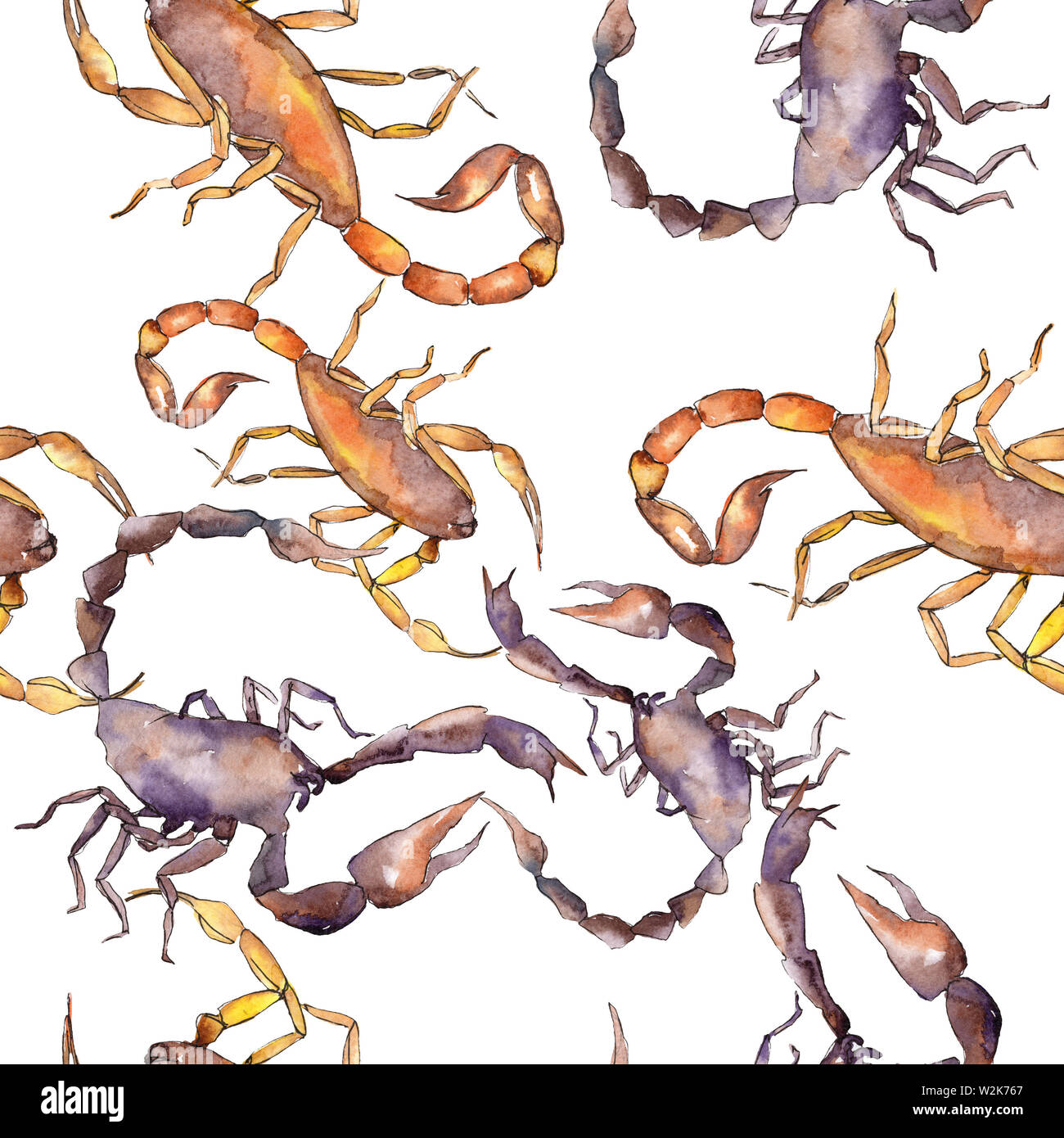 Exotic scorpion wild insect isolated. Watercolor background ...