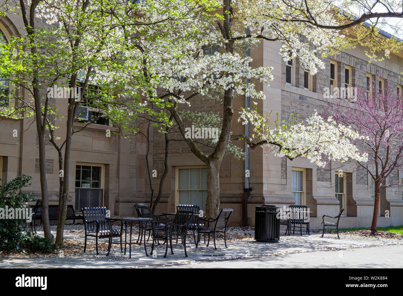 Cornell university hi-res stock photography and images - Alamy