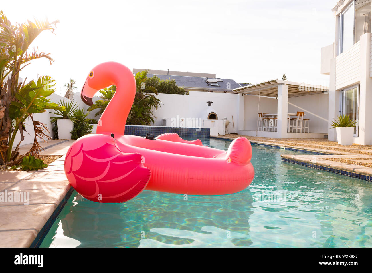 Pink flamingo bird shape inflatable tube floating in a swimming pool in ...