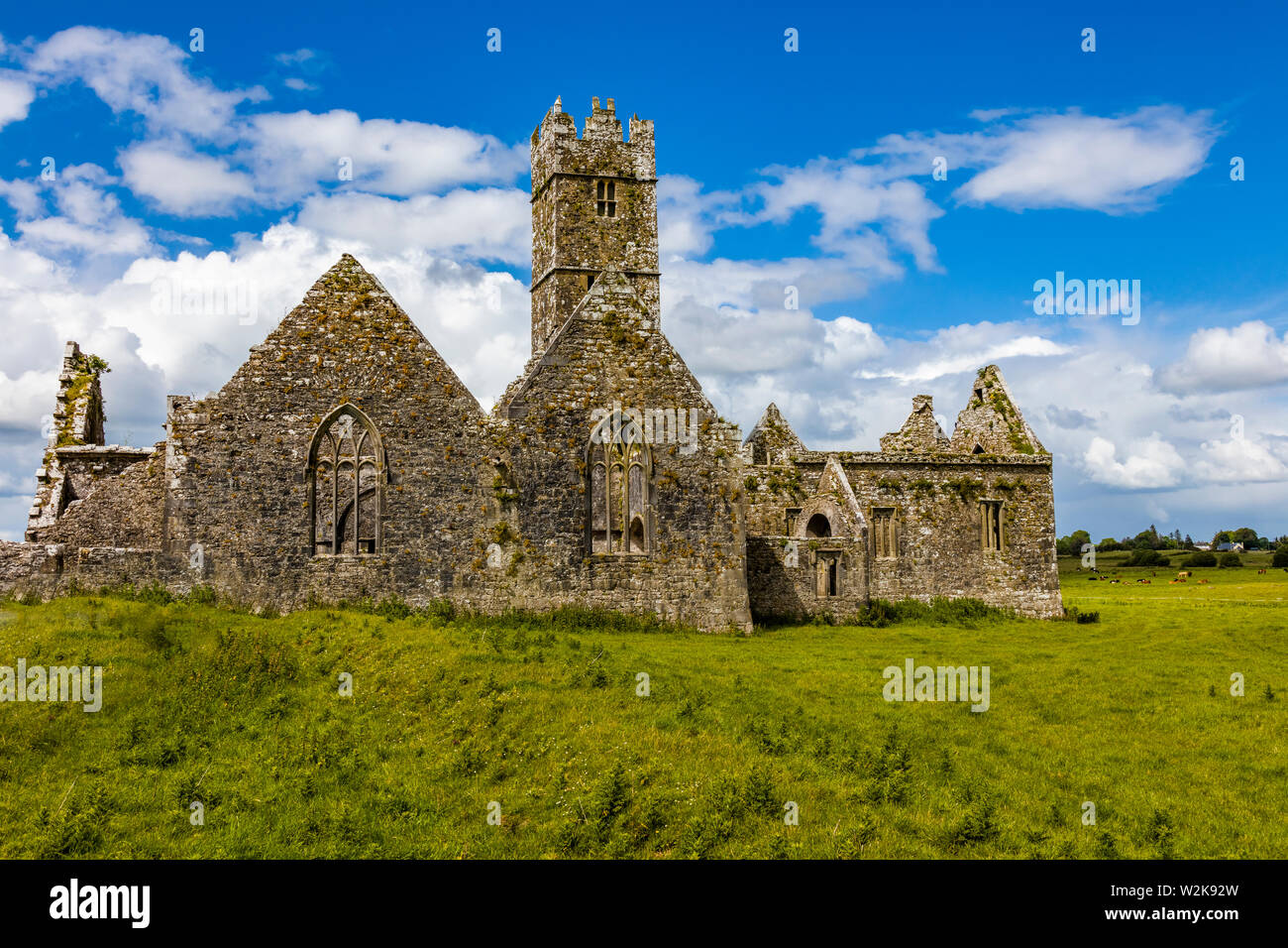 Ruins of Ross Errilly Friary in Headford Co. Galway founded 1351 AD one ...