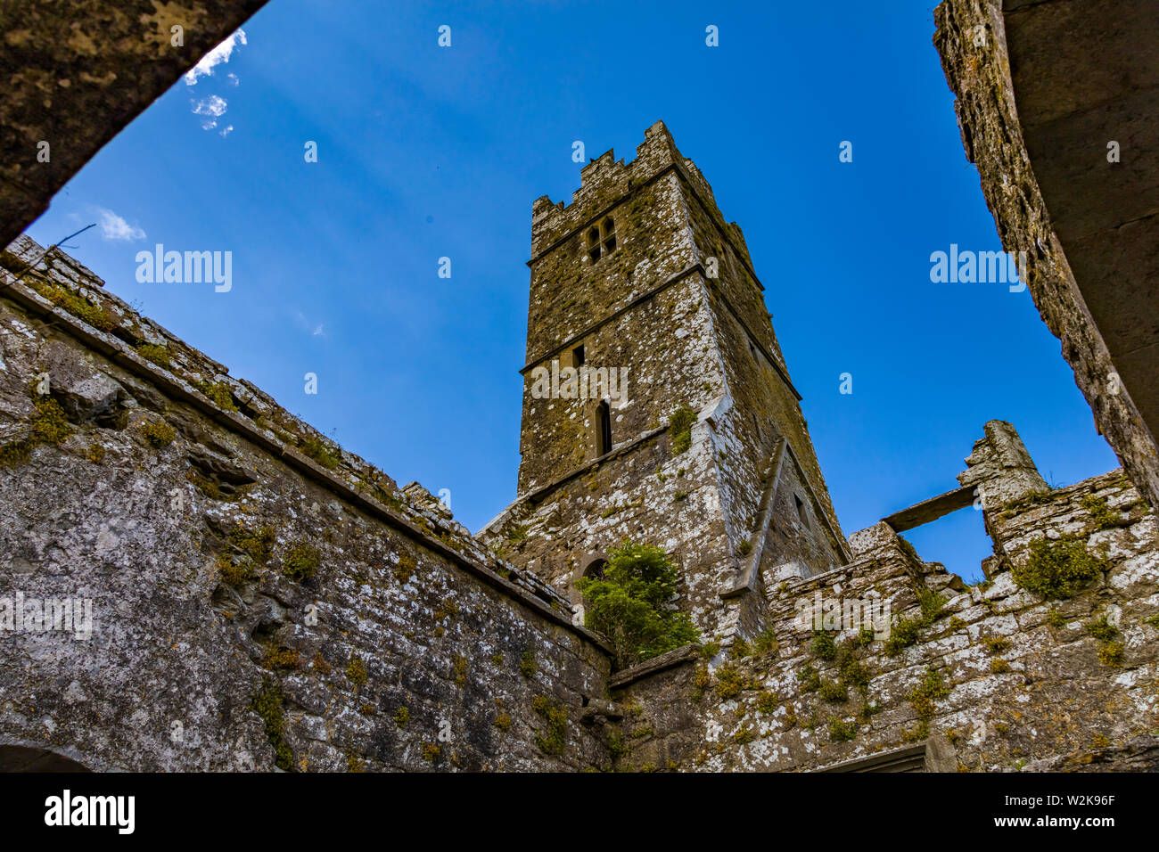 Ruins of Ross Errilly Friary in Headford Co. Galway founded 1351 AD one ...