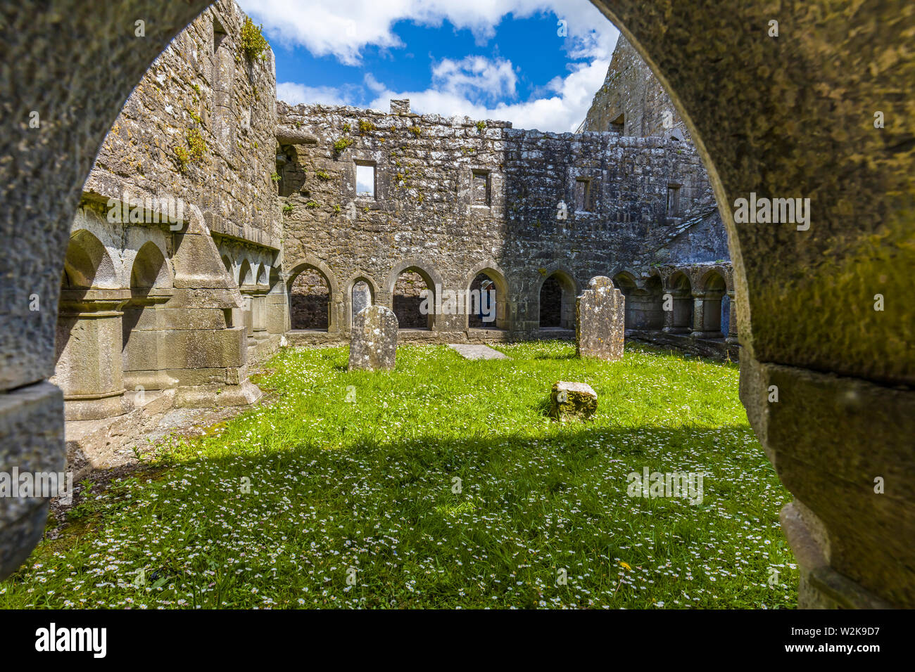 Ruins of Ross Errilly Friary in Headford Co. Galway founded 1351 AD one ...