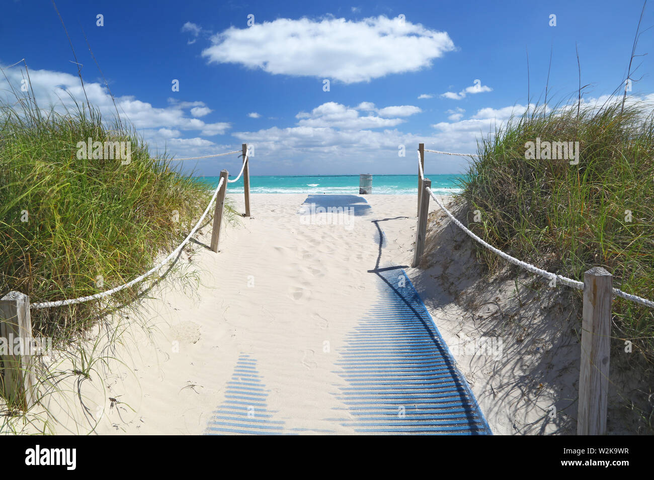 Miami beauty hi-res stock photography and images - Alamy