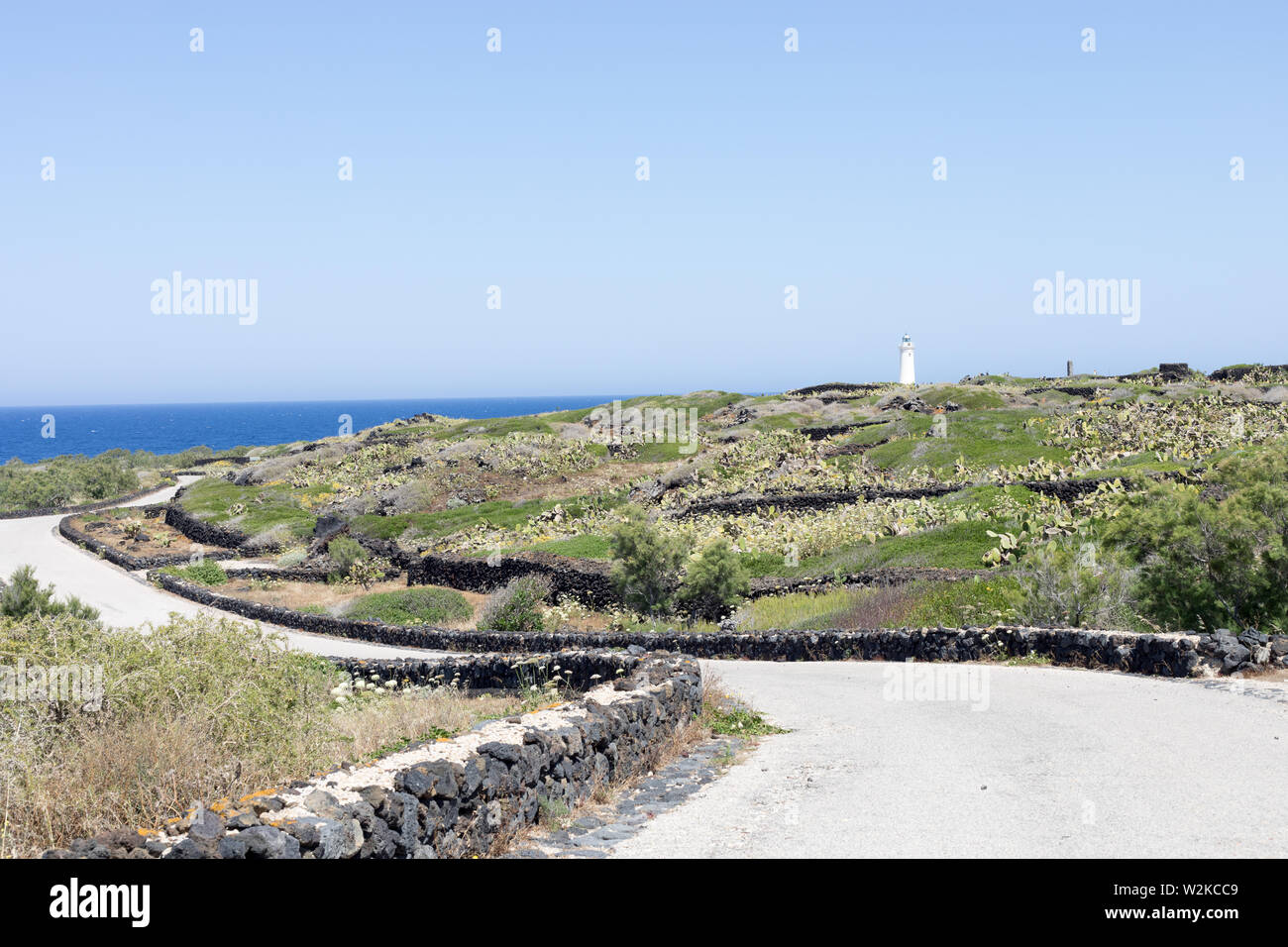 Linosa turtle hi-res stock photography and images - Alamy