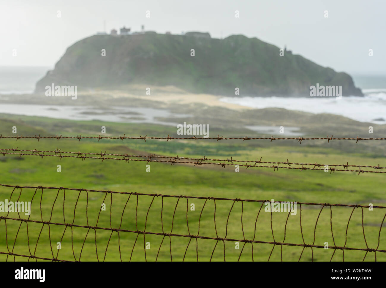 Barbed Wire Fence Around Grassy Fields along Pacific coast Stock Photo ...