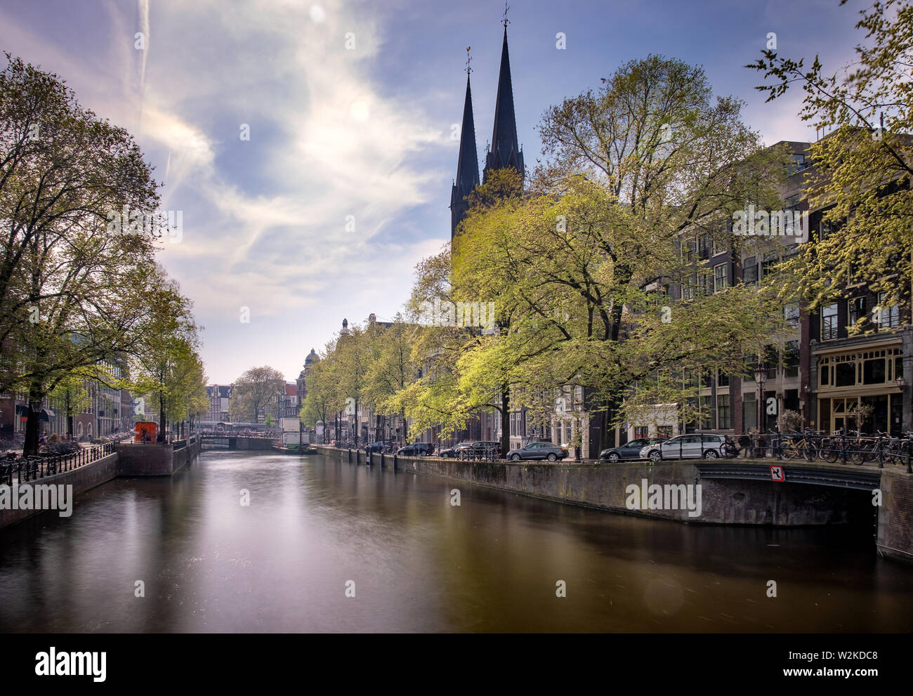Beautiful trees along a canal in Amsterdam, Netherlands Stock Photo - Alamy