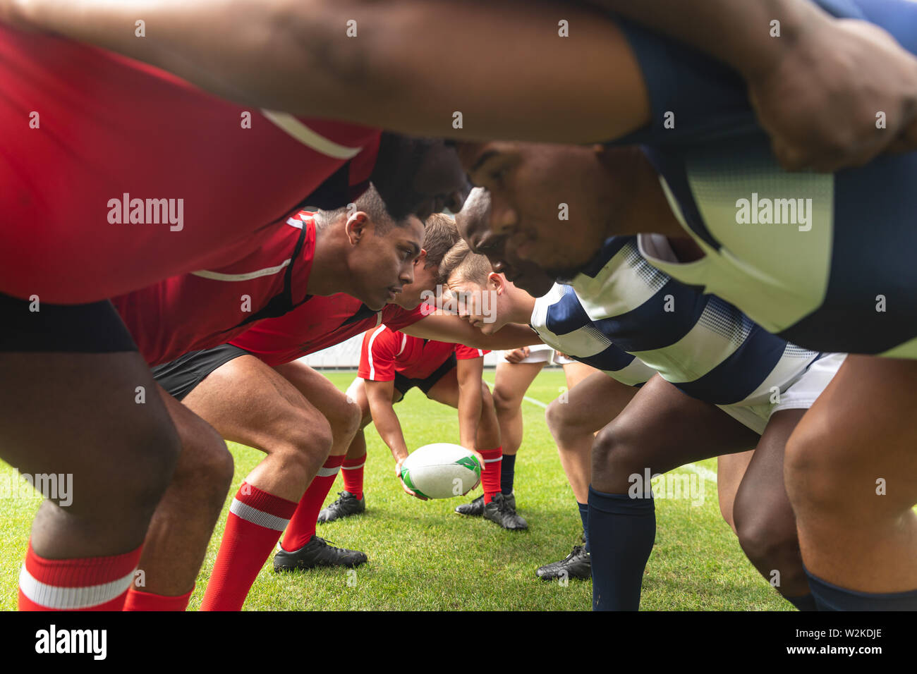 Male rugby players ready to play rugby match in stadium Stock Photo - Alamy