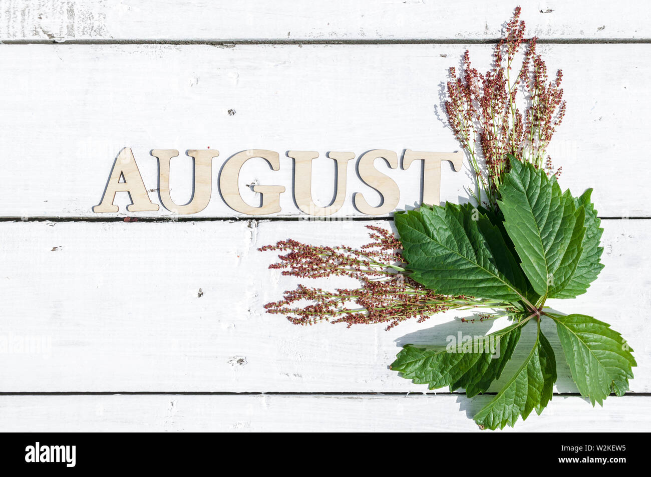 Summer pattern: Word August and green leaves on a white wooden rustic ...
