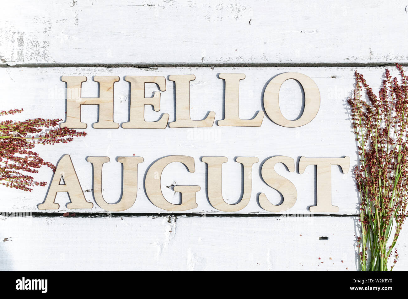 Summer pattern: Word August and green leaves on a white wooden rustic ...