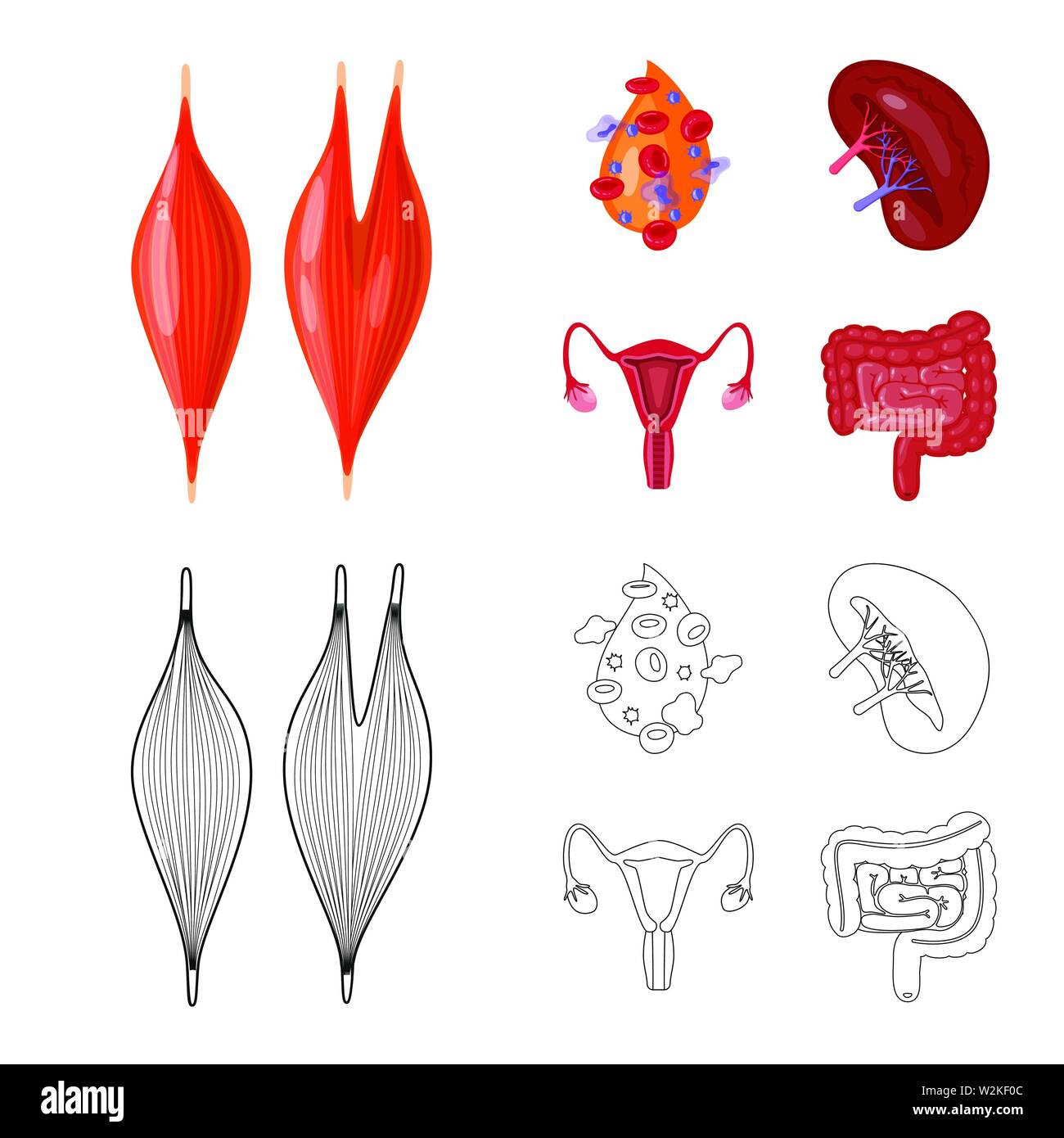 Isolated object of biology and scientific icon. Collection of biology ...