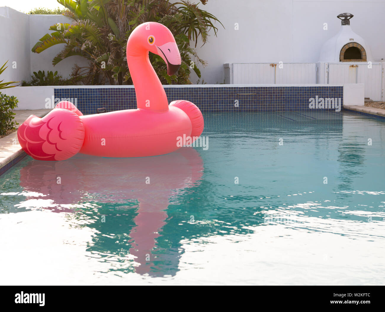 Pink flamingo bird shape inflatable tube floating in a swimming pool ...