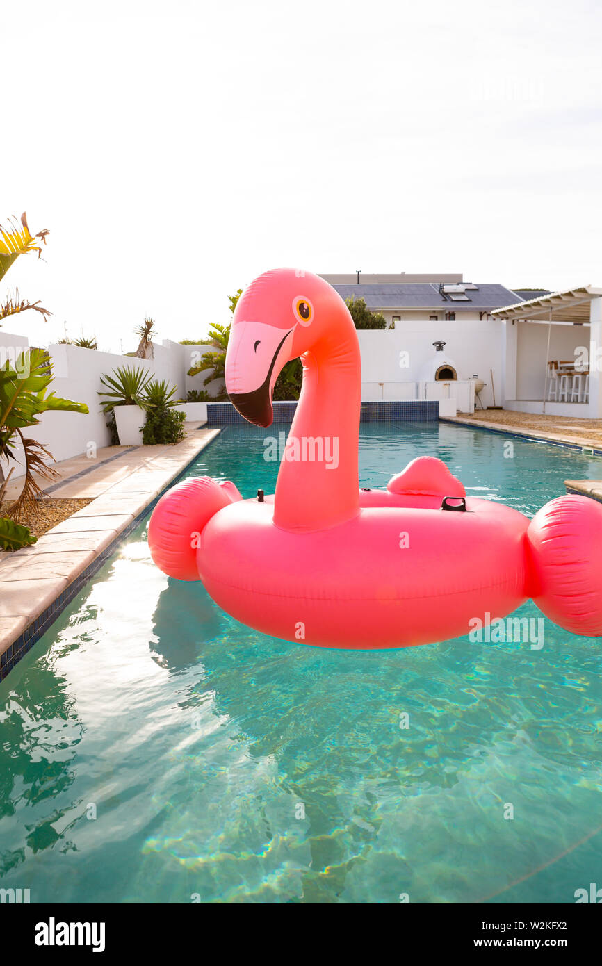 Pink flamingo bird shape inflatable tube floating in a swimming pool in ...