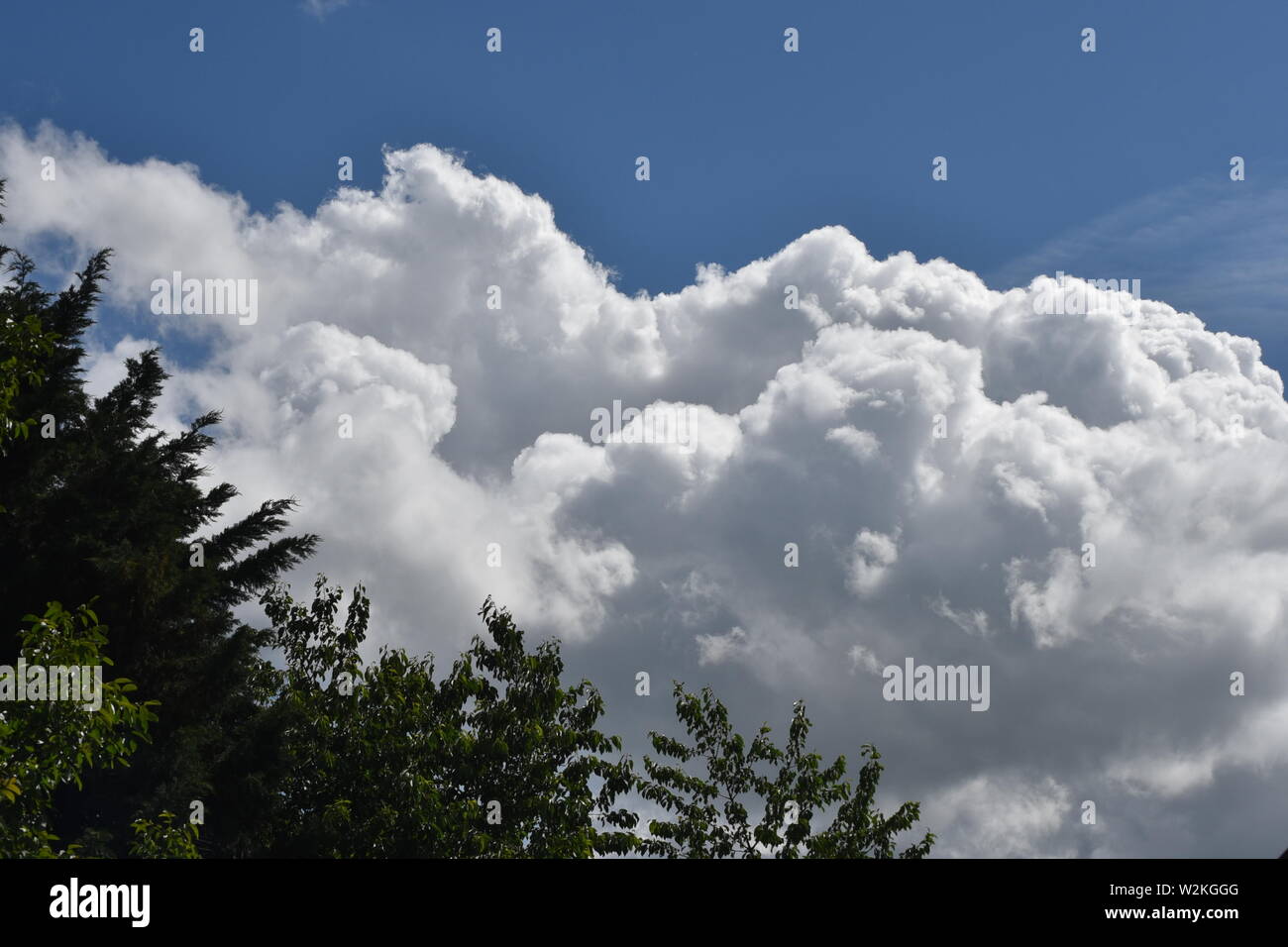 Blue sky voluminous fluffy hi-res stock photography and images - Alamy