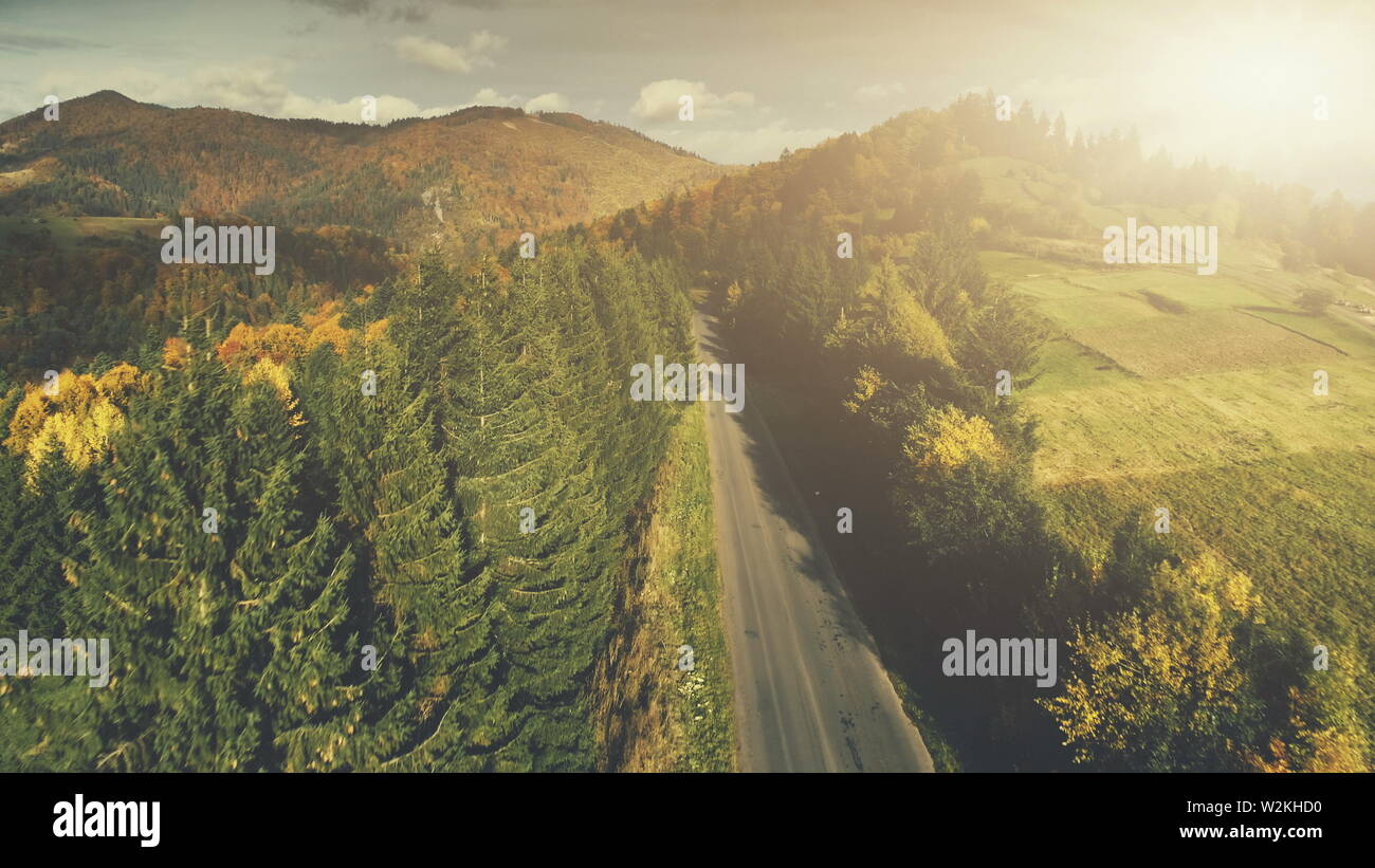 Beautiful scenery footage pine forest hi-res stock photography and ...